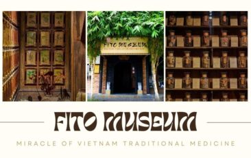 FITO Museum: Miracle of Vietnam Traditional Medicine - IDC Travel