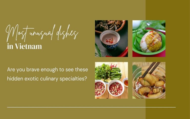 Top 10 Most Unusual Vietnamese Foods - IDC Travel